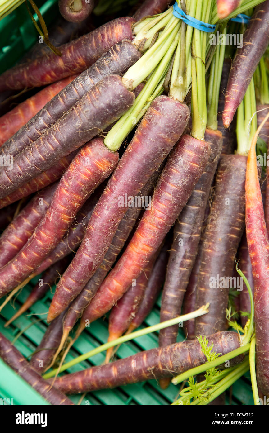 Purple vegetables carrot hi-res stock photography and images - Alamy