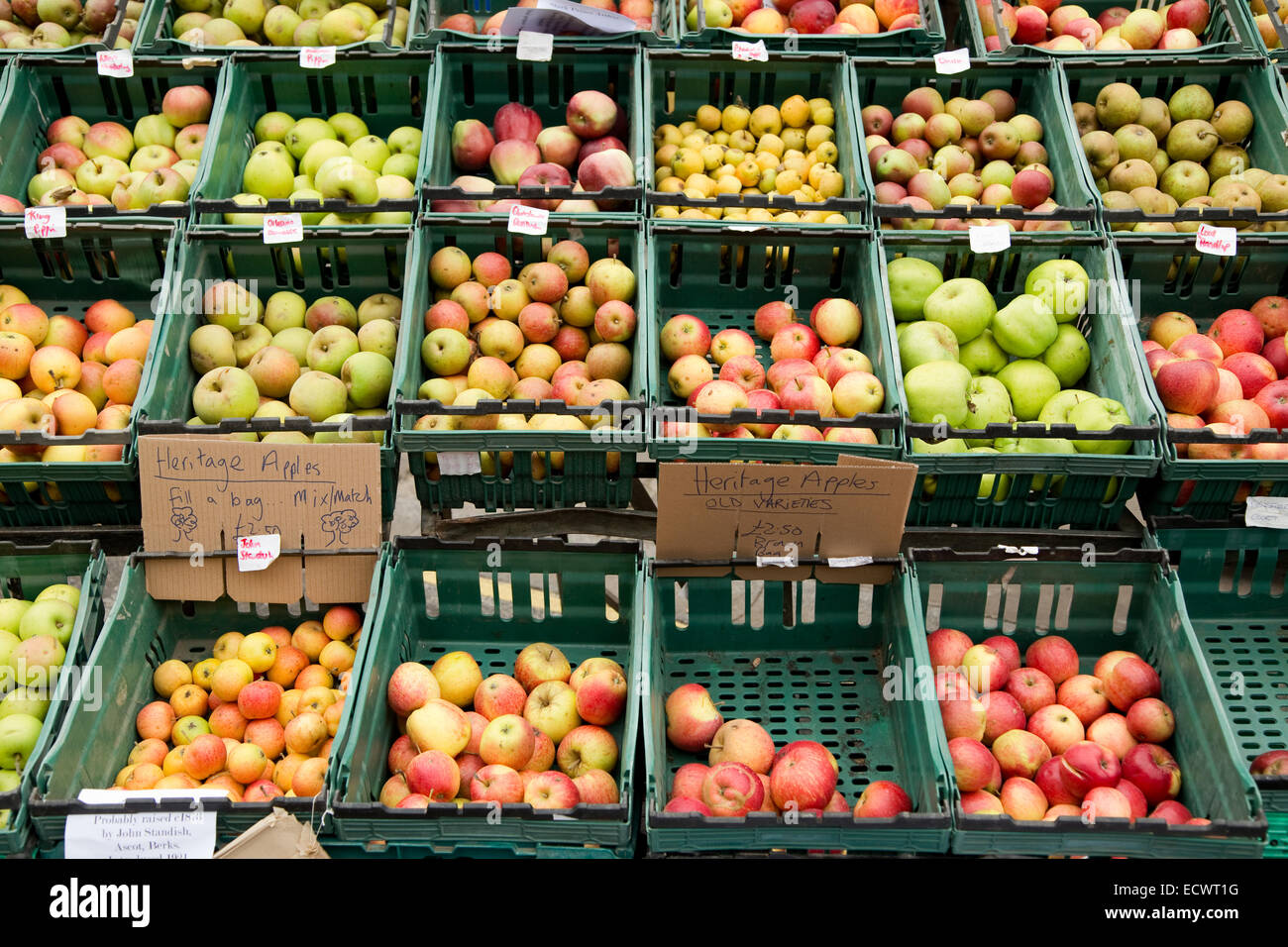 selection of apples Stock Photo - Alamy