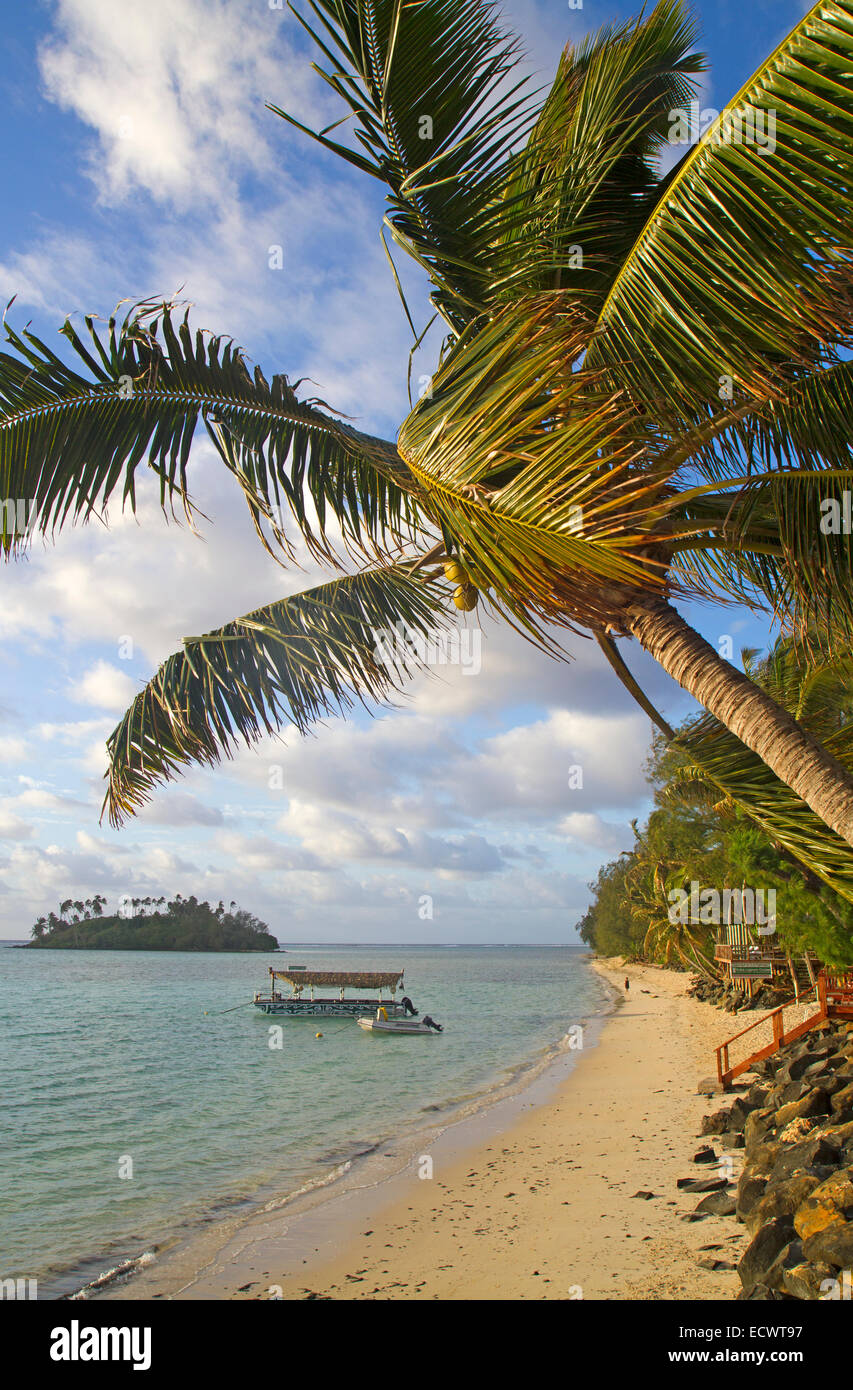Rarotonga lagoon boat hi-res stock photography and images - Alamy