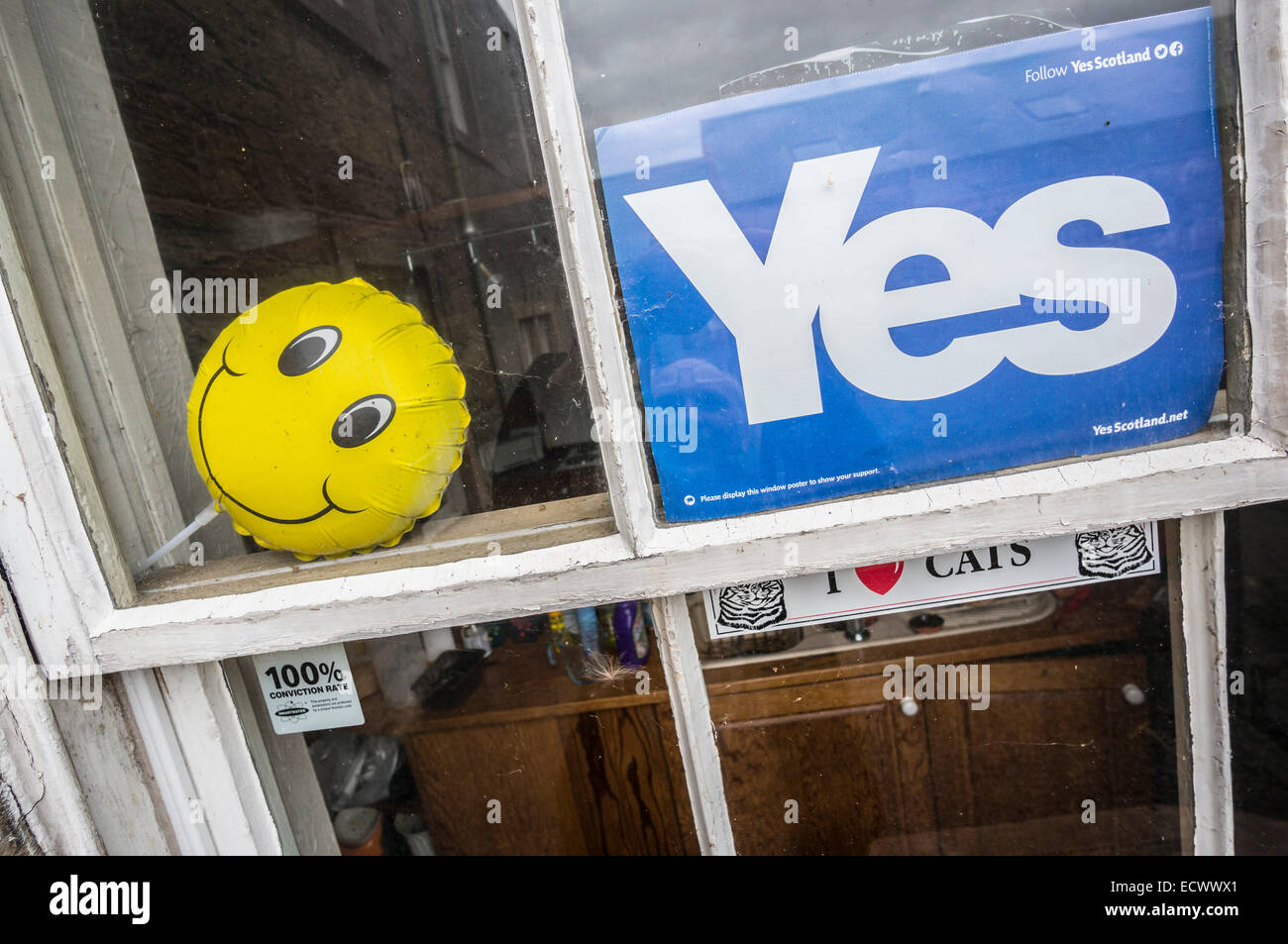 Supporting the YES campaign in the Scottish Independence Referendum of ...