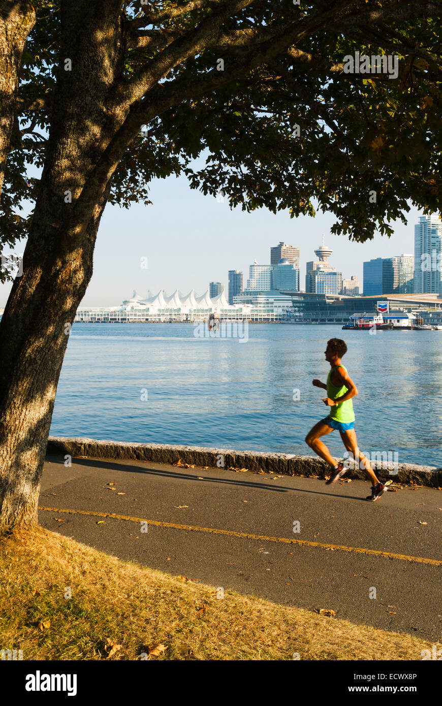 Man running at the seawall in Stanley Park, with the Vancouver skyline ...