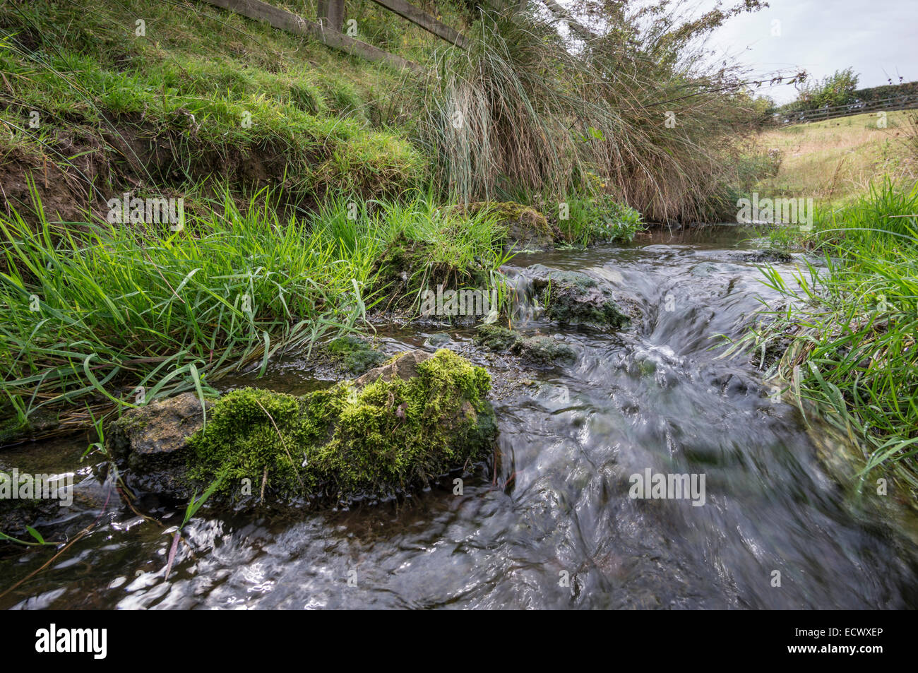 Stream at Carham, boundary of England and Scotland Stock Photo - Alamy