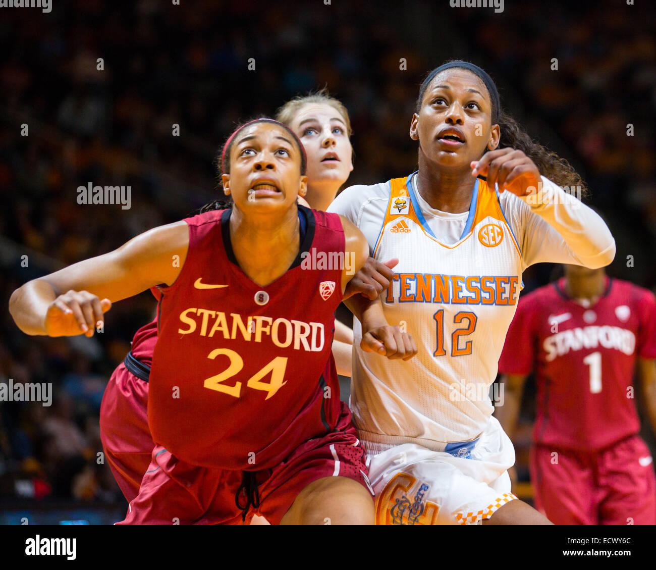 Erica mccall hi-res stock photography and images - Alamy