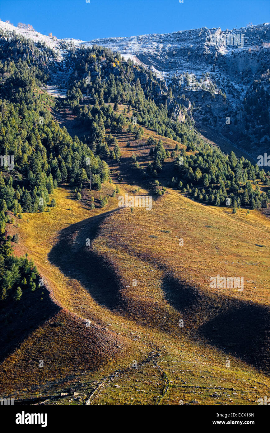 Kashmir Landscape