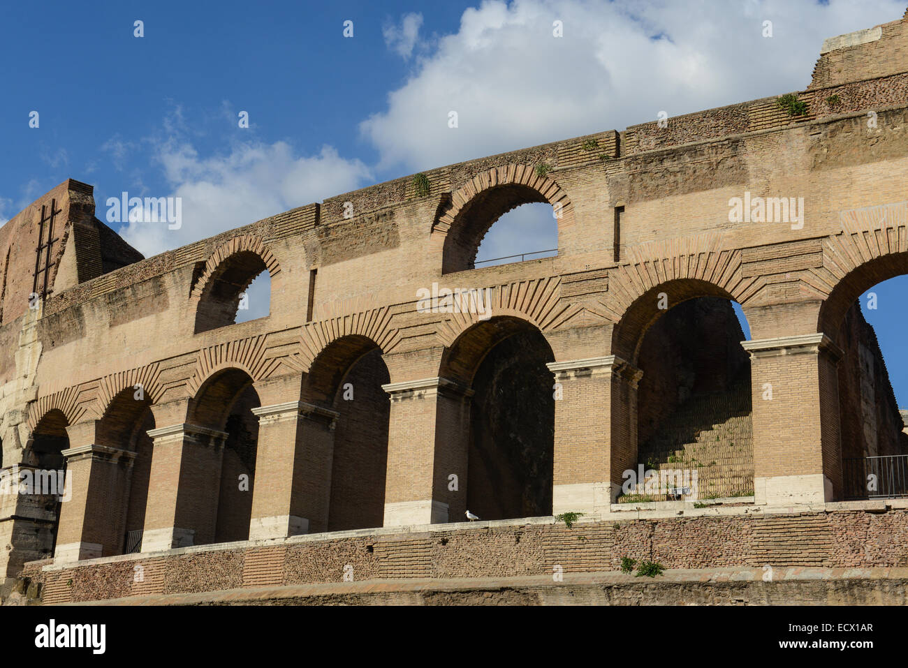 Colosseum in ancient rome hi-res stock photography and images - Alamy