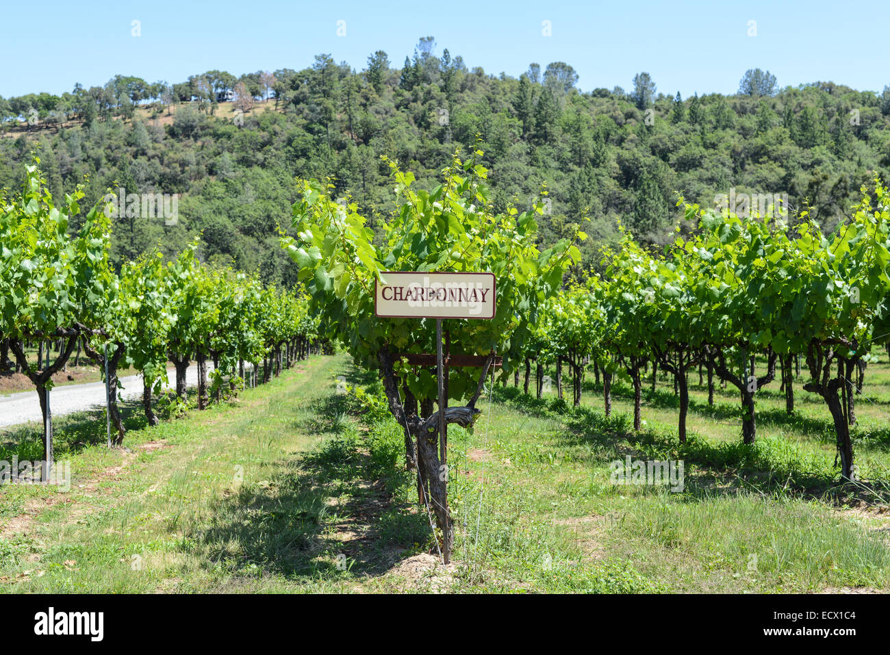 Grapes sign hi-res stock photography and images - Alamy