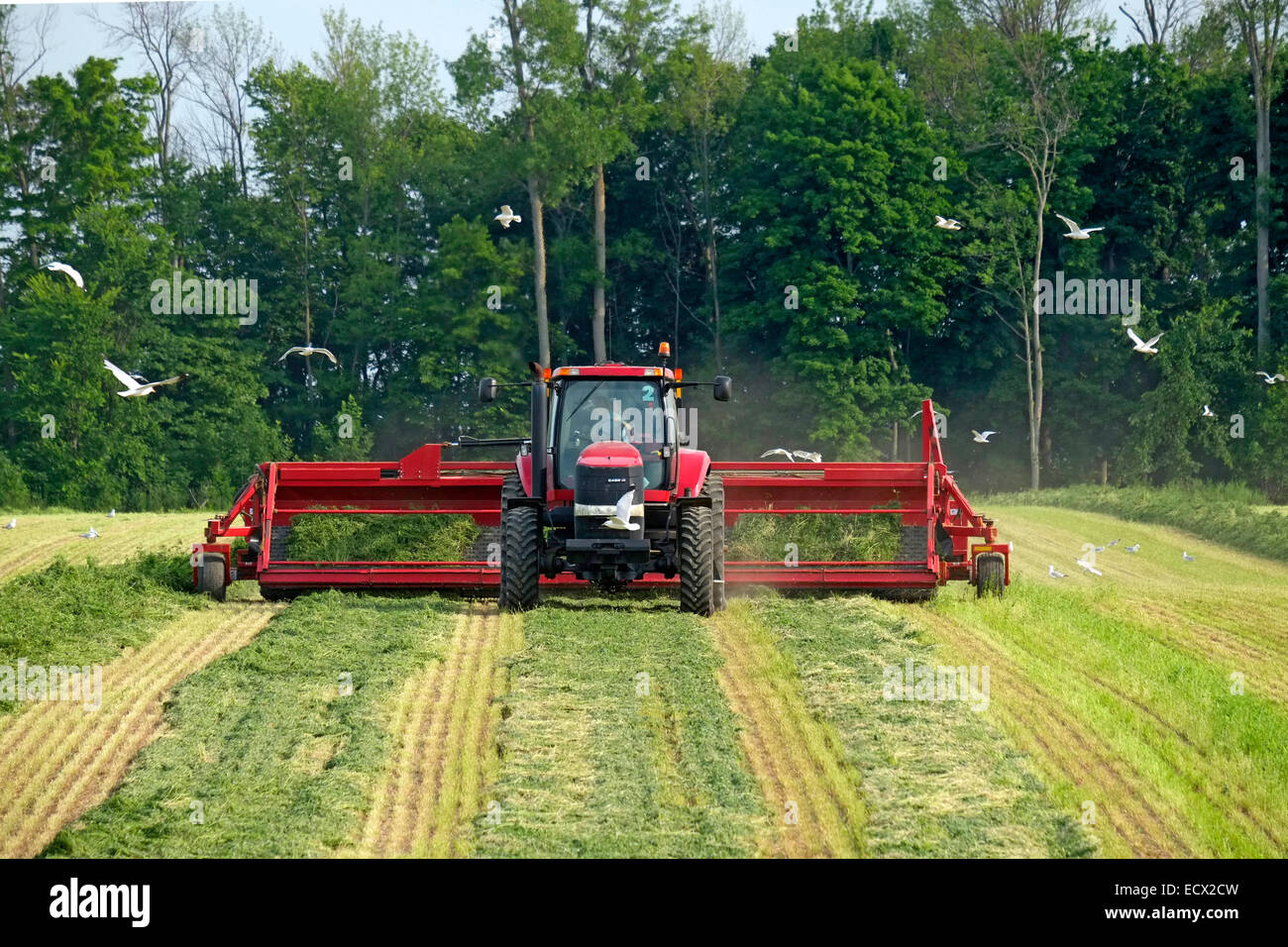 Hay harvesting equipment hi-res stock photography and images - Alamy
