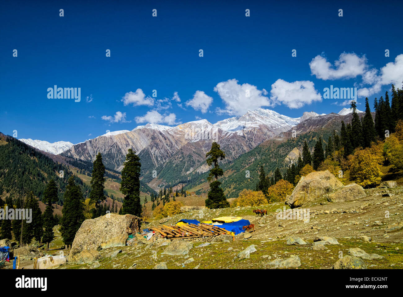 Sonamarg valley hi-res stock photography and images - Alamy