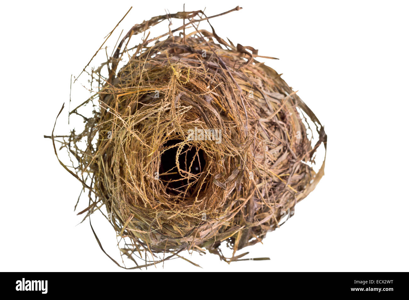 Real and Natural bird's nest on isolated white background Stock Photo ...