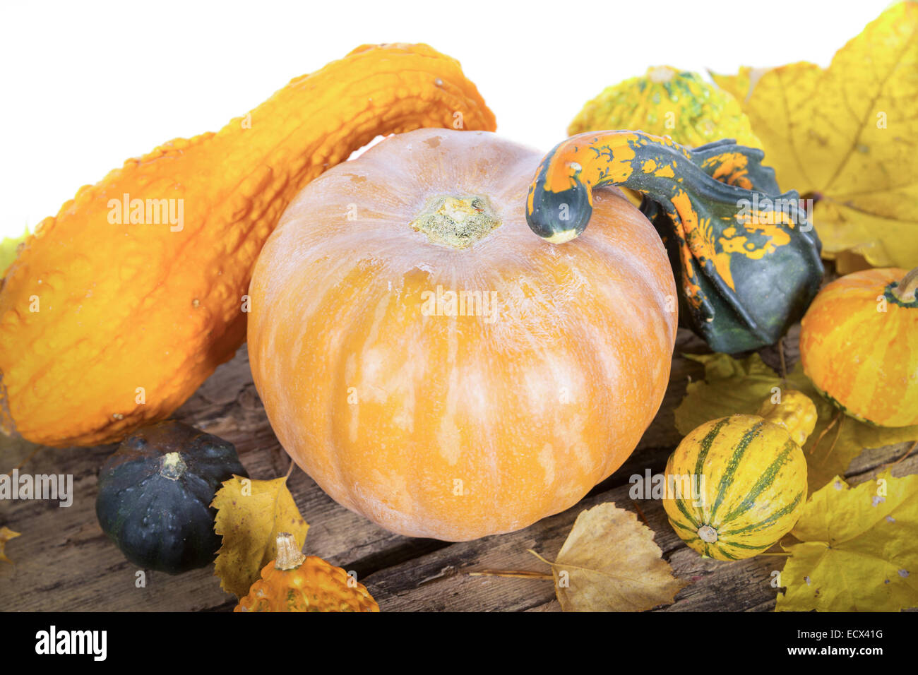 Fall food crop hi-res stock photography and images - Alamy