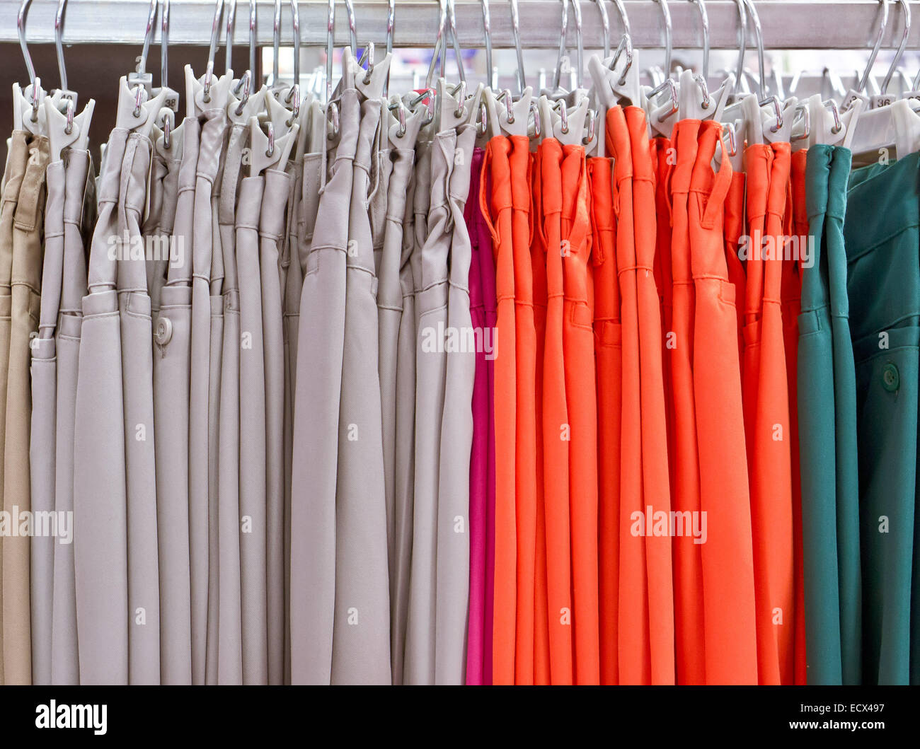 Colorful men's golf trousers in a store Stock Photo - Alamy