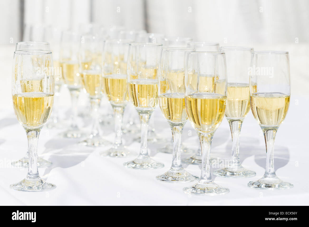 champagne glasses in a row for holiday Stock Photo - Alamy