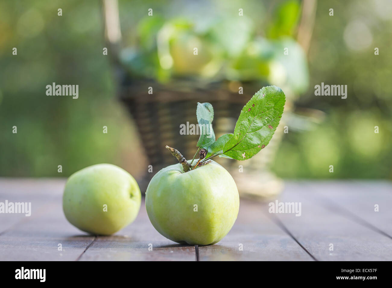 Apple crop outdoors Stock Photo - Alamy