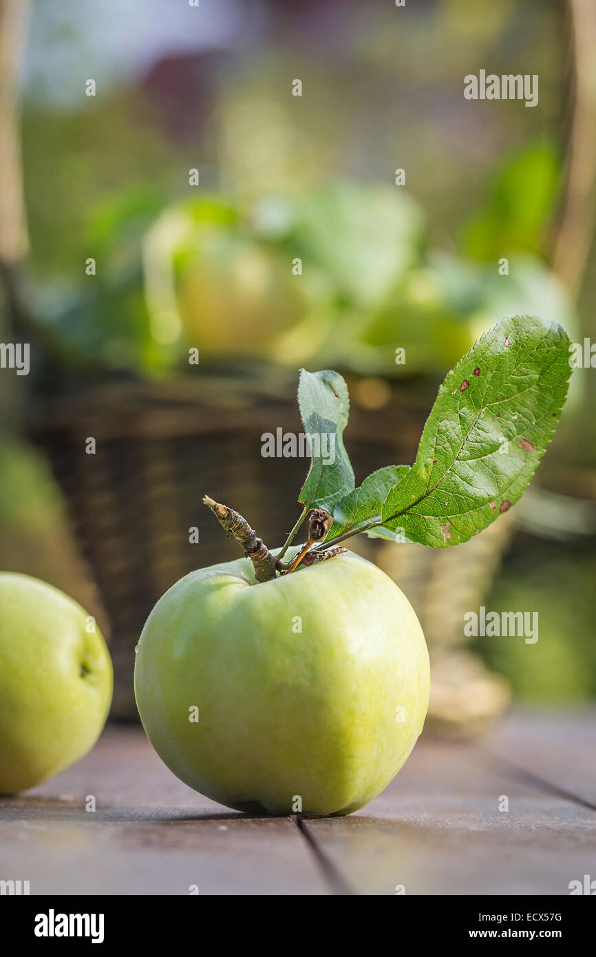 Apple crop outdoors Stock Photo - Alamy