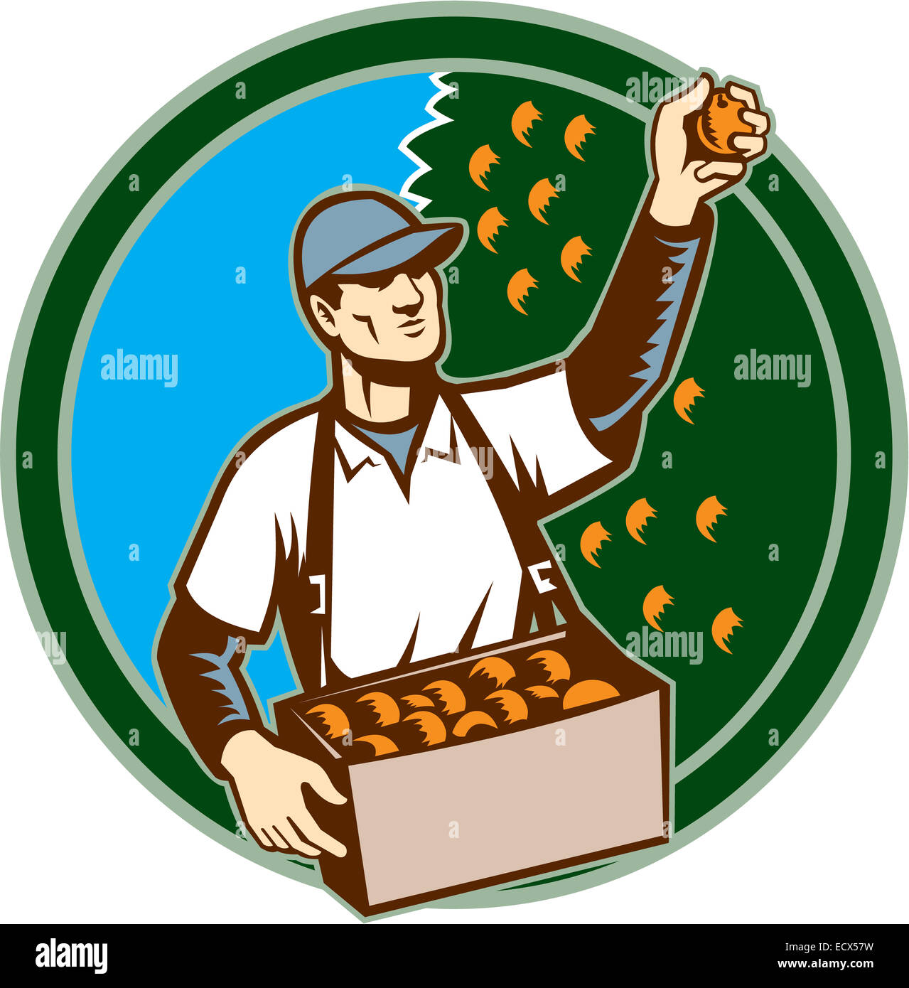 Illustration of a fruit picker fruit worker picking plum viewed from ...