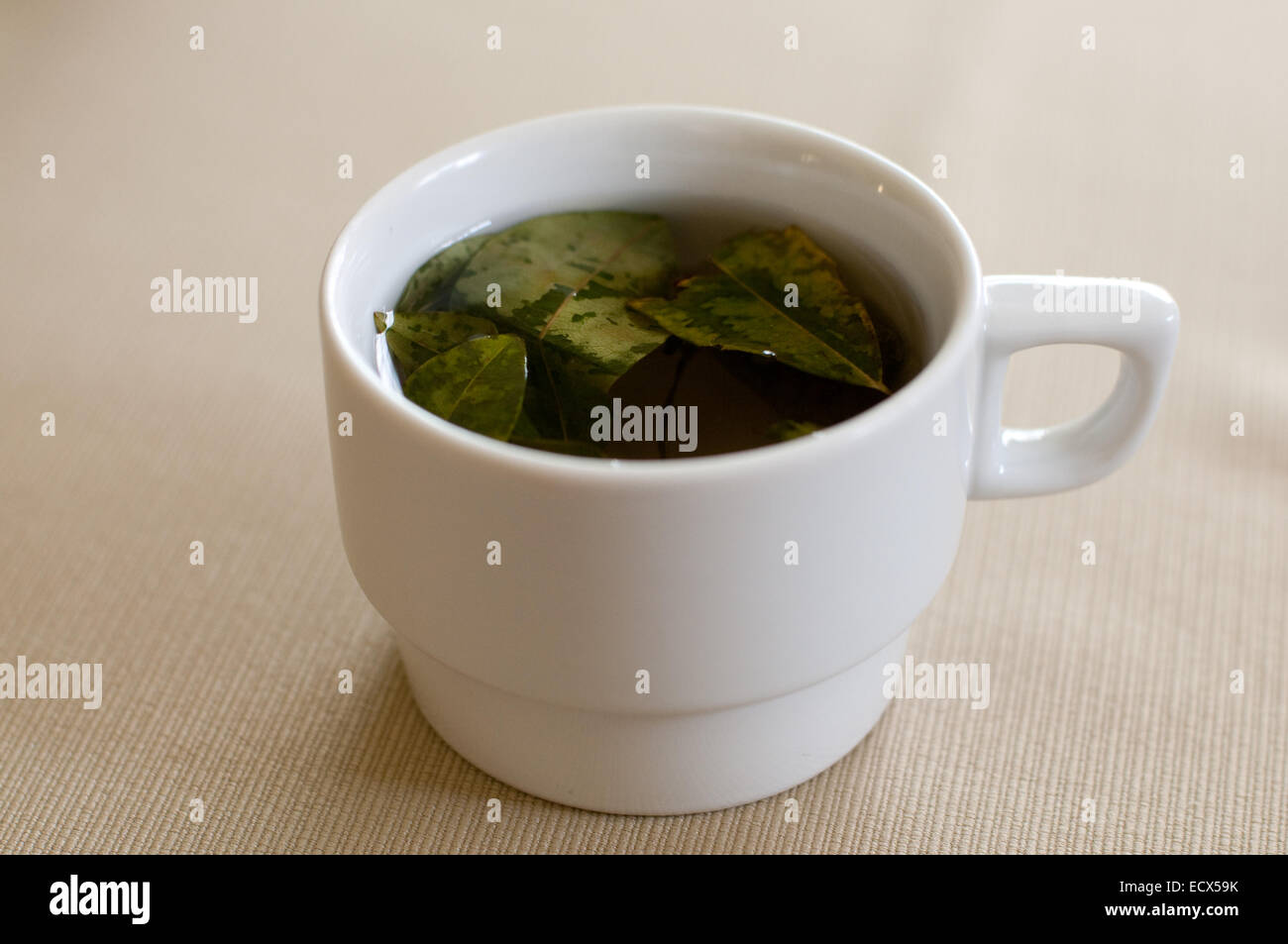 the famous coca leaf tea used for medicine Stock Photo - Alamy