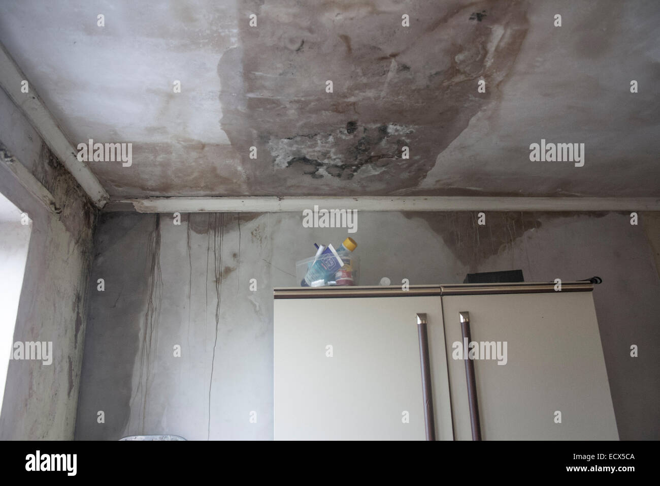 Damp on walls and ceiling of a room Stock Photo - Alamy