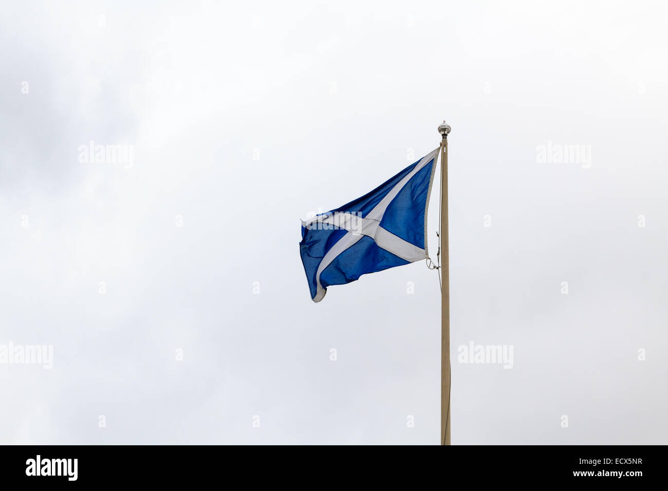 The scottish flag hi-res stock photography and images - Alamy