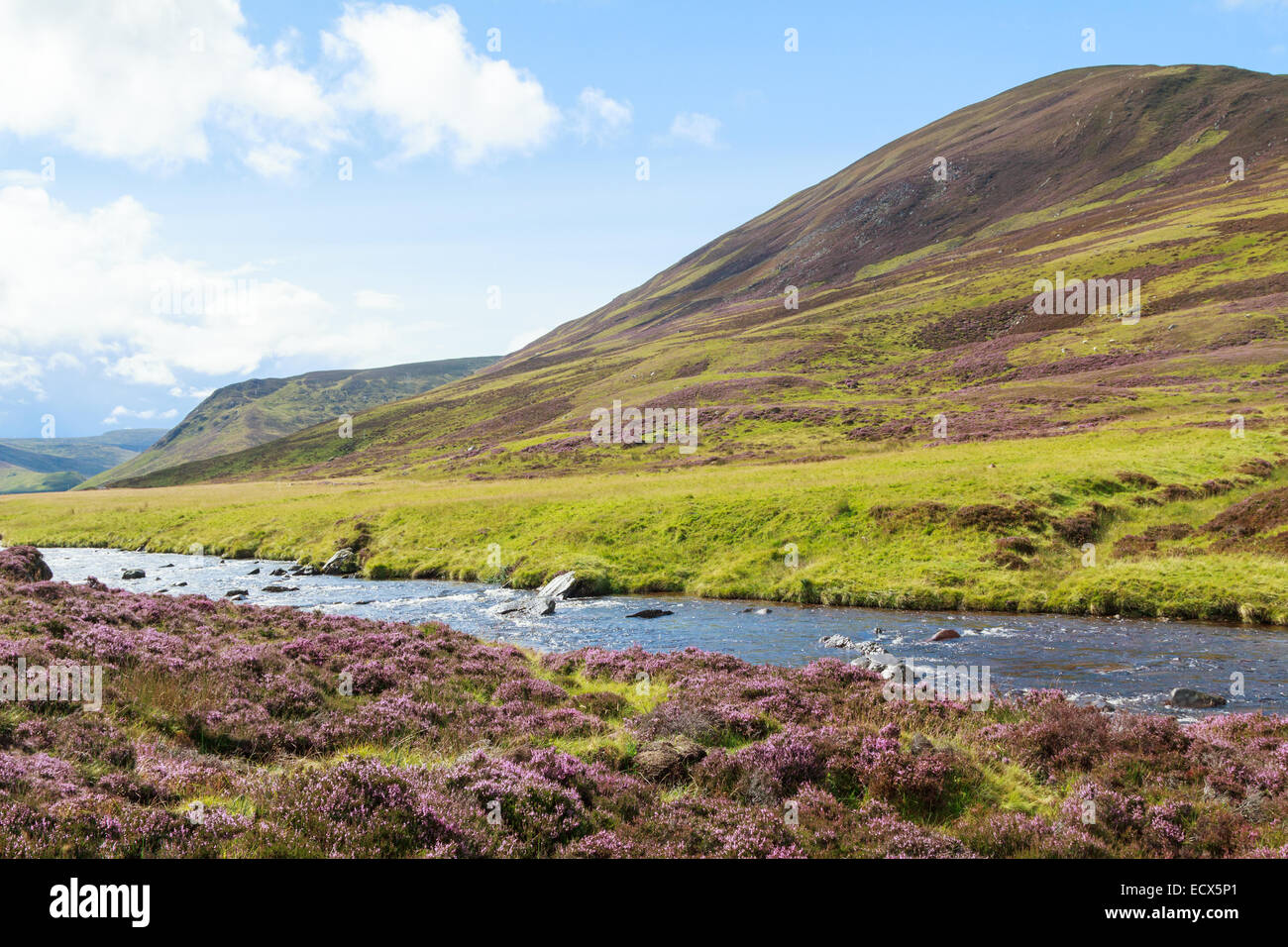 A scottish highland rural landscape with a river, hills, and blue sky ...