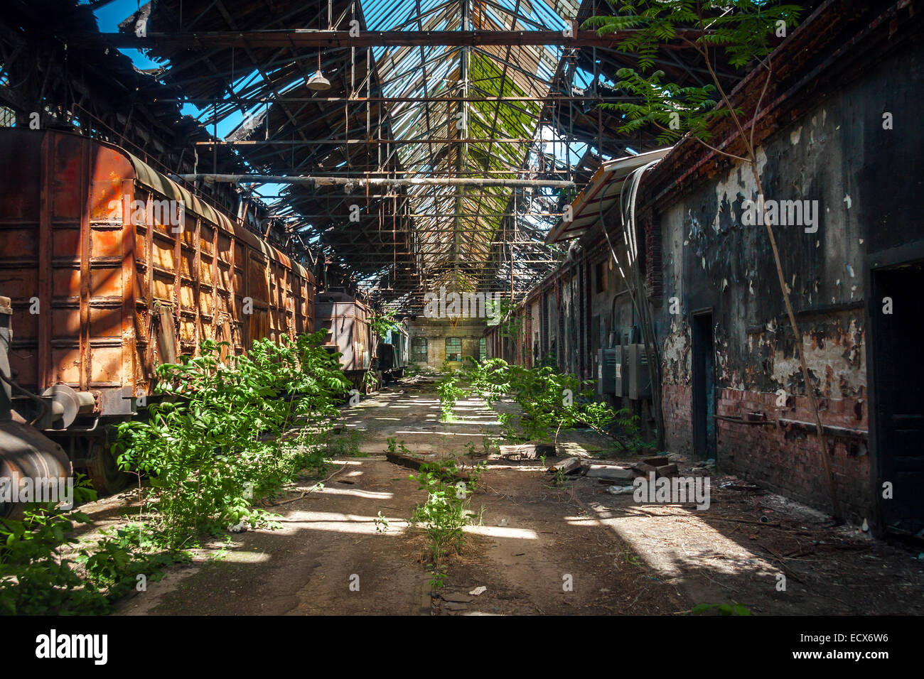 Old trains at abandoned train depot Stock Photo - Alamy