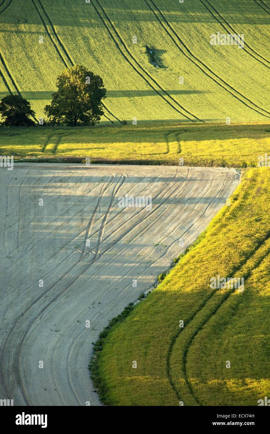Spring afternoon on the South Downs near Firle, East Sussex, England ...