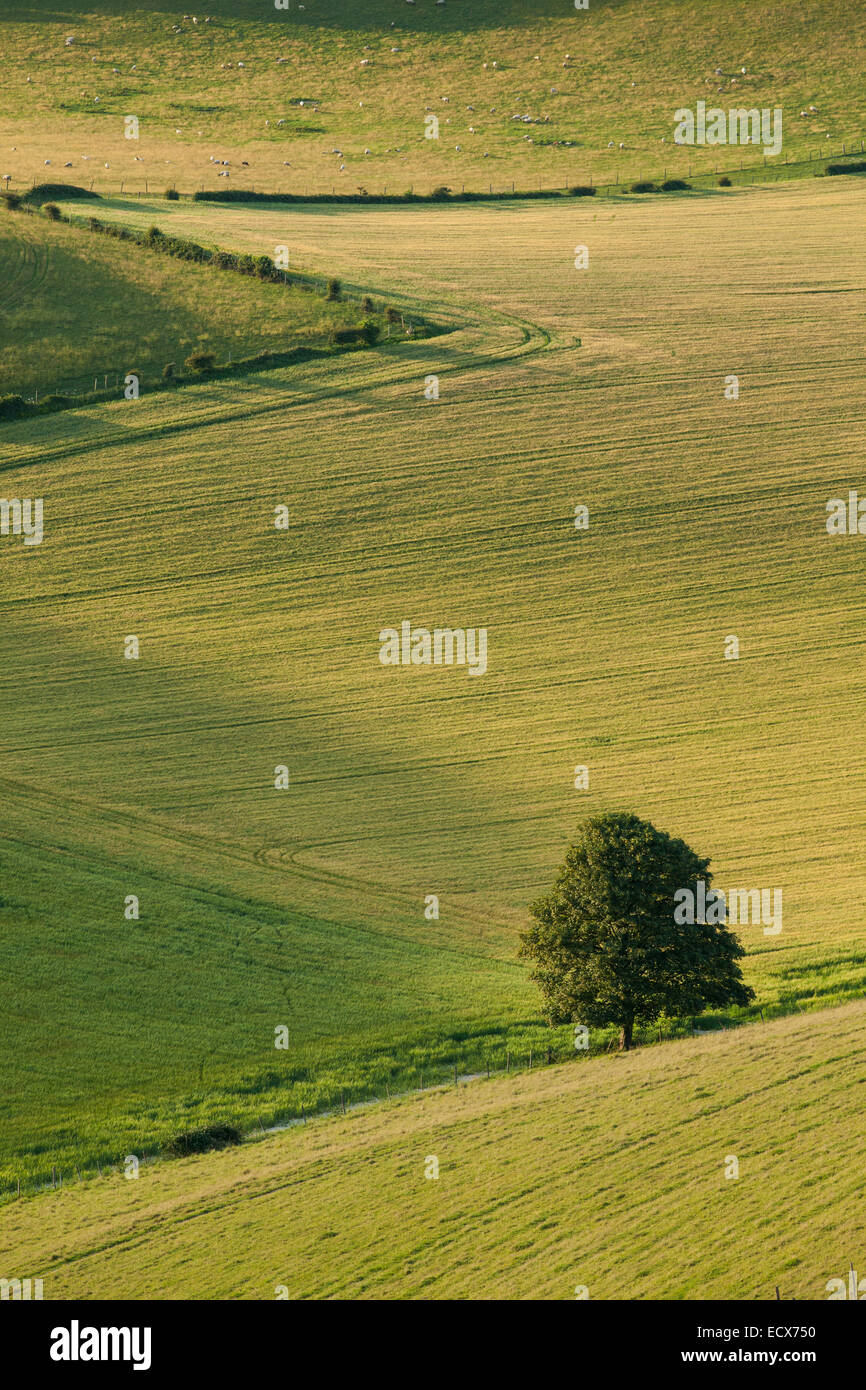 Polegate sussex hi-res stock photography and images - Alamy