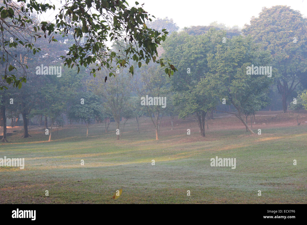 landscape savar in Dhaka Stock Photo - Alamy
