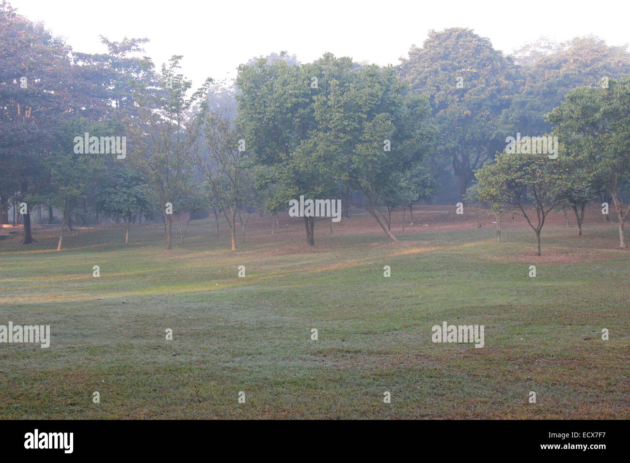 landscape savar in Dhaka Stock Photo - Alamy