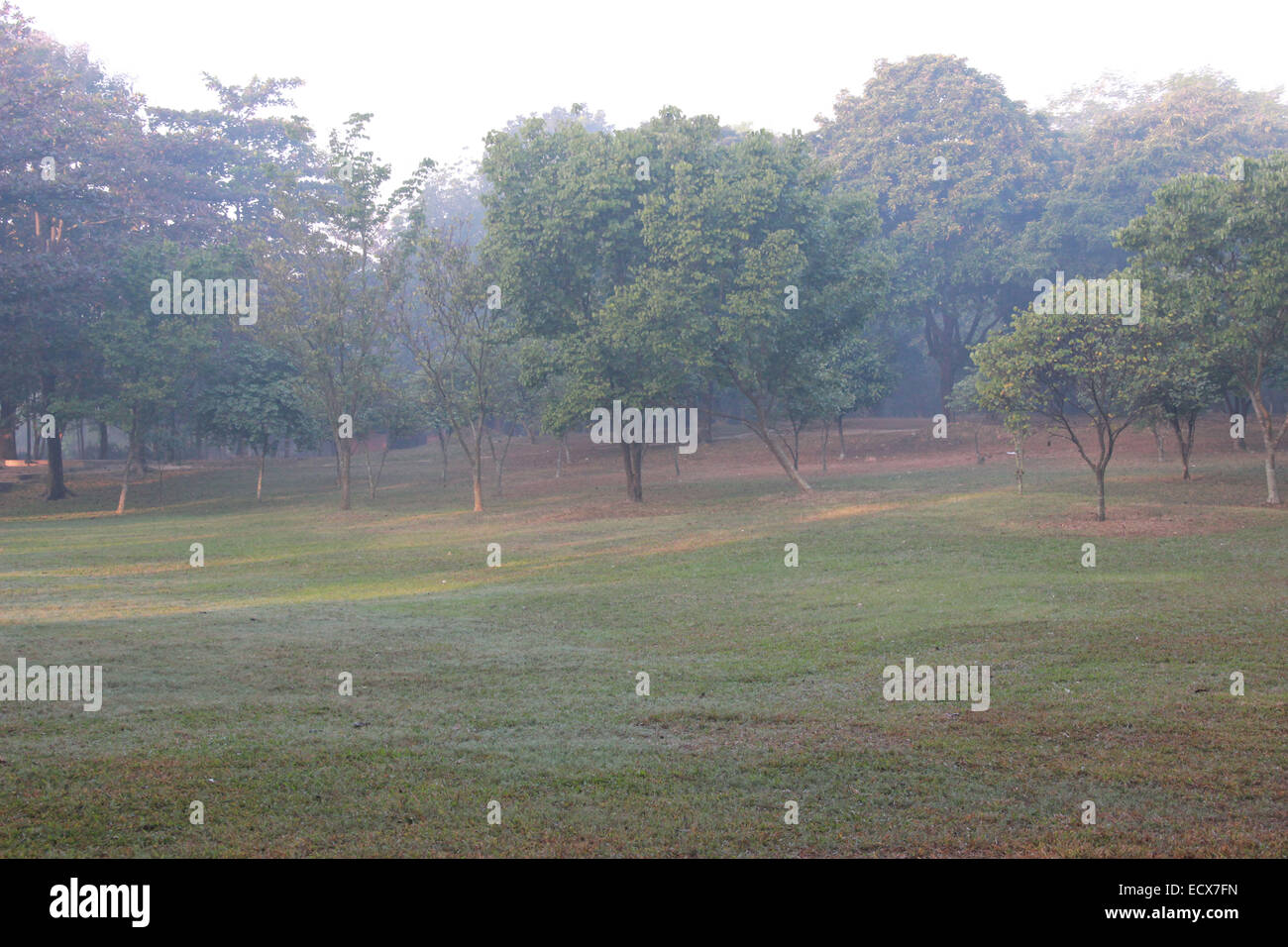 landscape savar in Dhaka Stock Photo - Alamy