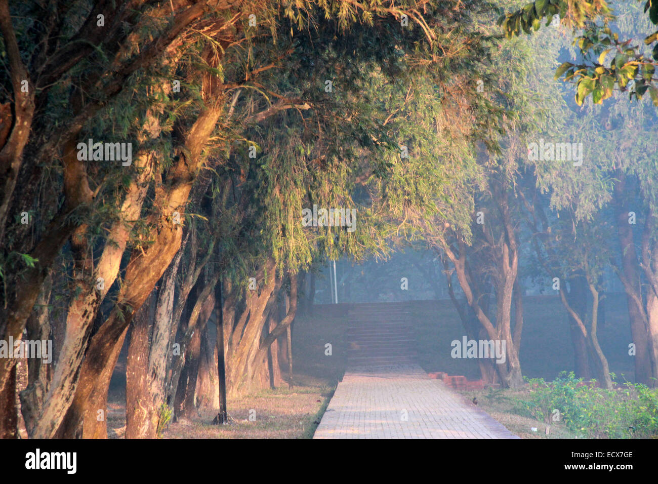 landscape savar in Dhaka Stock Photo - Alamy