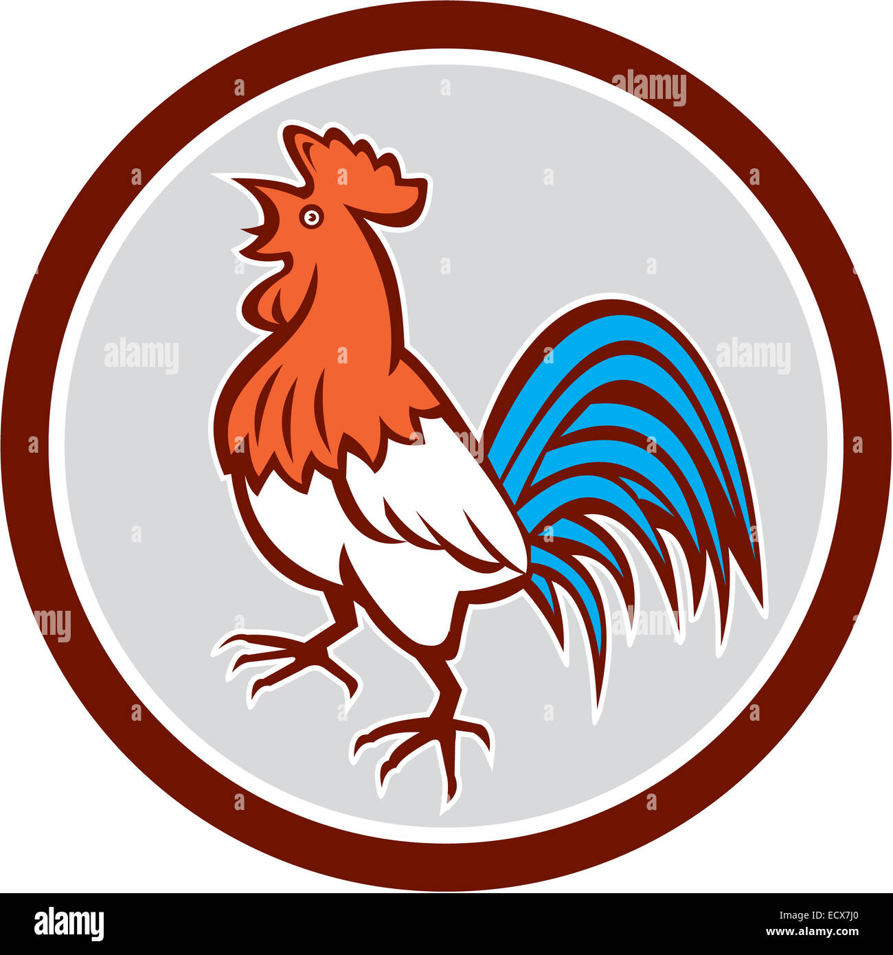 Crowing Rooster Head