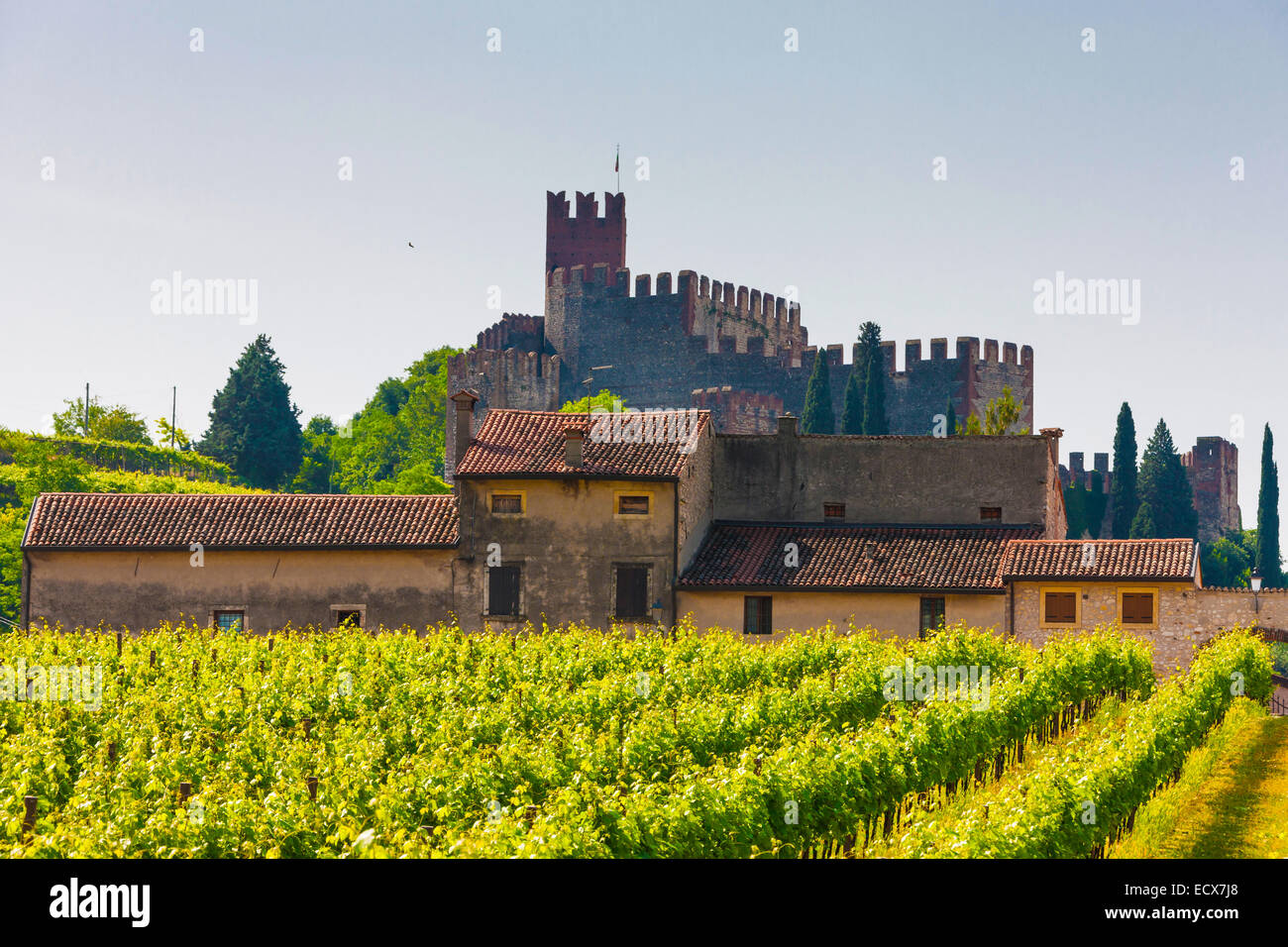 Soave hi-res stock photography and images - Alamy