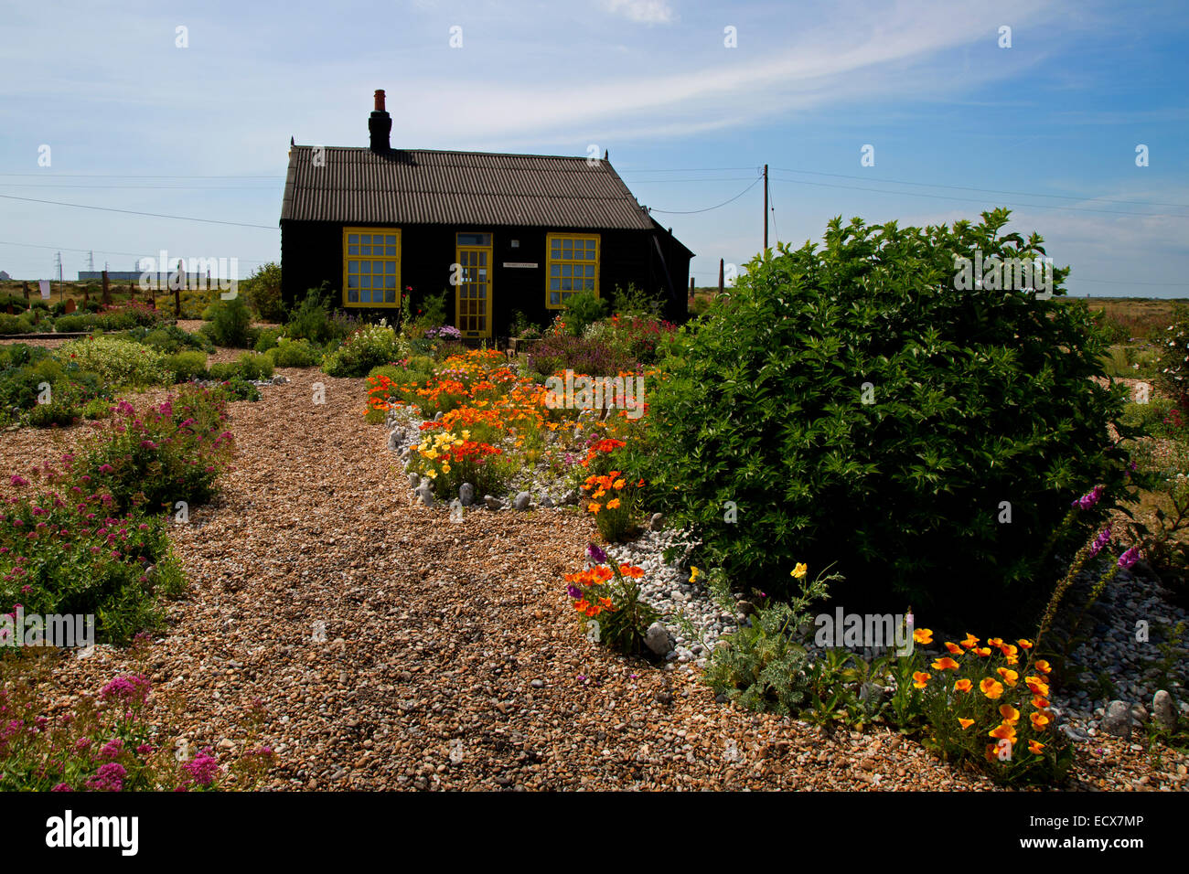 Shingle garden hi-res stock photography and images - Alamy