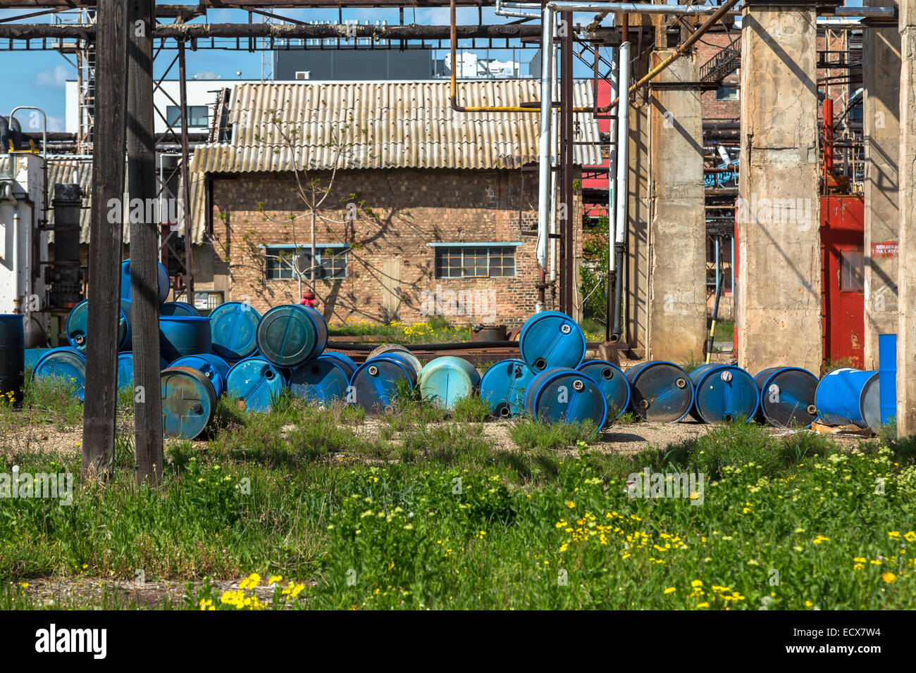 Several barrels of toxic Stock Photo - Alamy