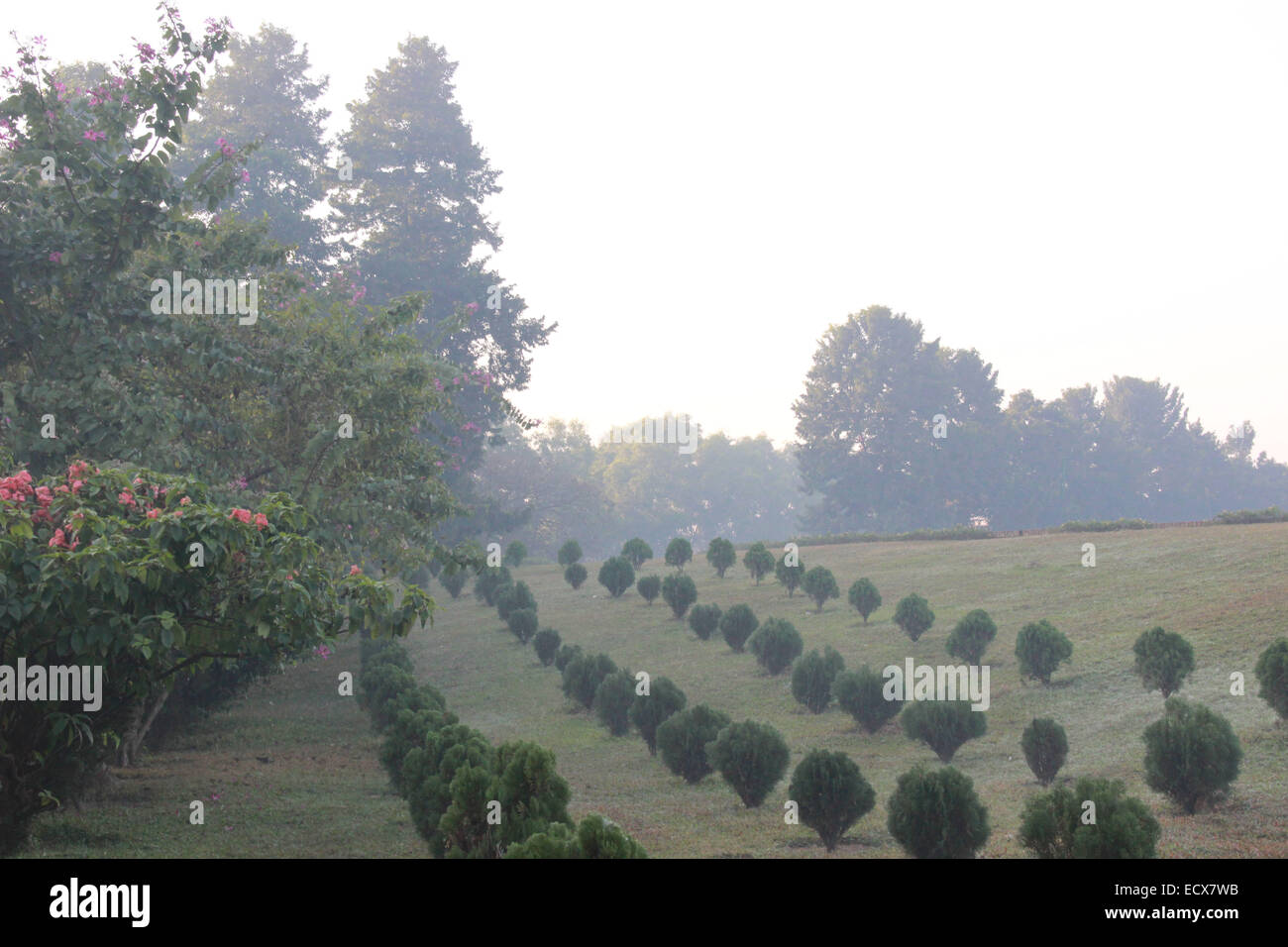 landscape savar in Dhaka Stock Photo - Alamy