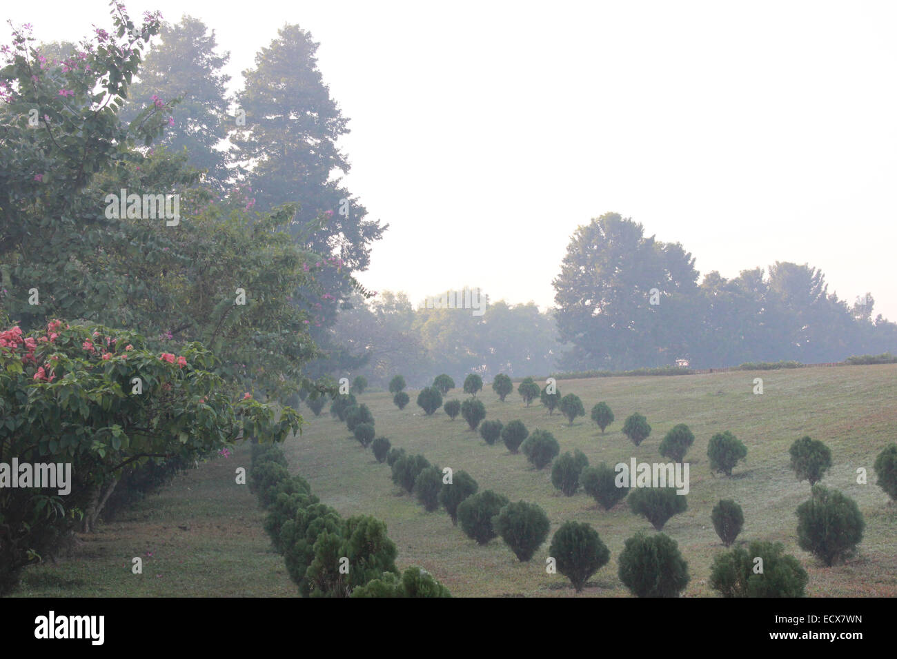 Dhaka bangladesh scenic hi-res stock photography and images - Alamy