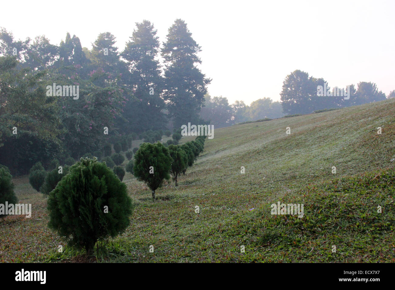 landscape savar in Dhaka Stock Photo - Alamy