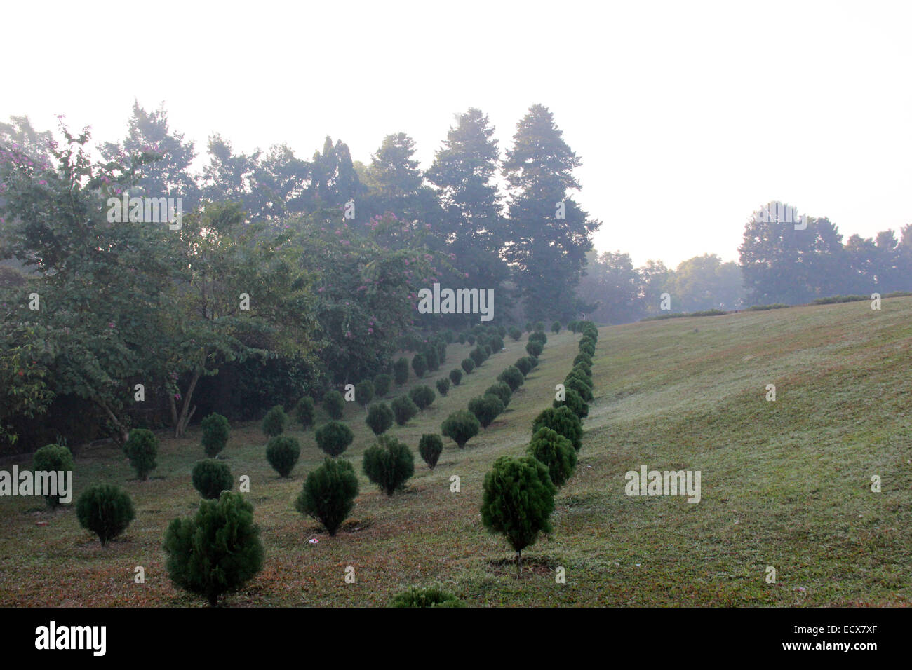 landscape savar in Dhaka Stock Photo - Alamy