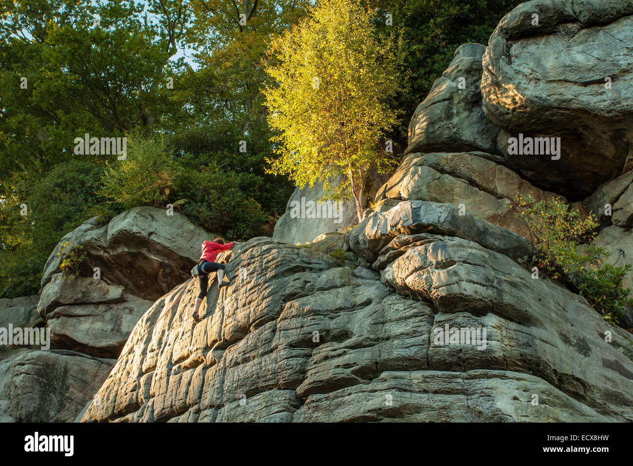 Eridge rocks hi-res stock photography and images - Alamy