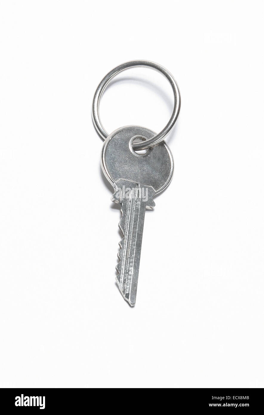 One silver key isolated on white background Stock Photo - Alamy