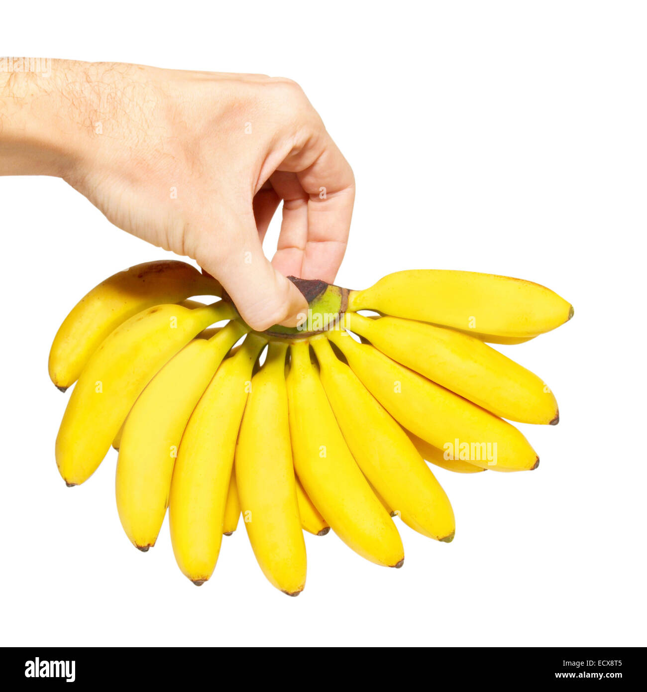 Butch of small bananas in a hand Stock Photo - Alamy