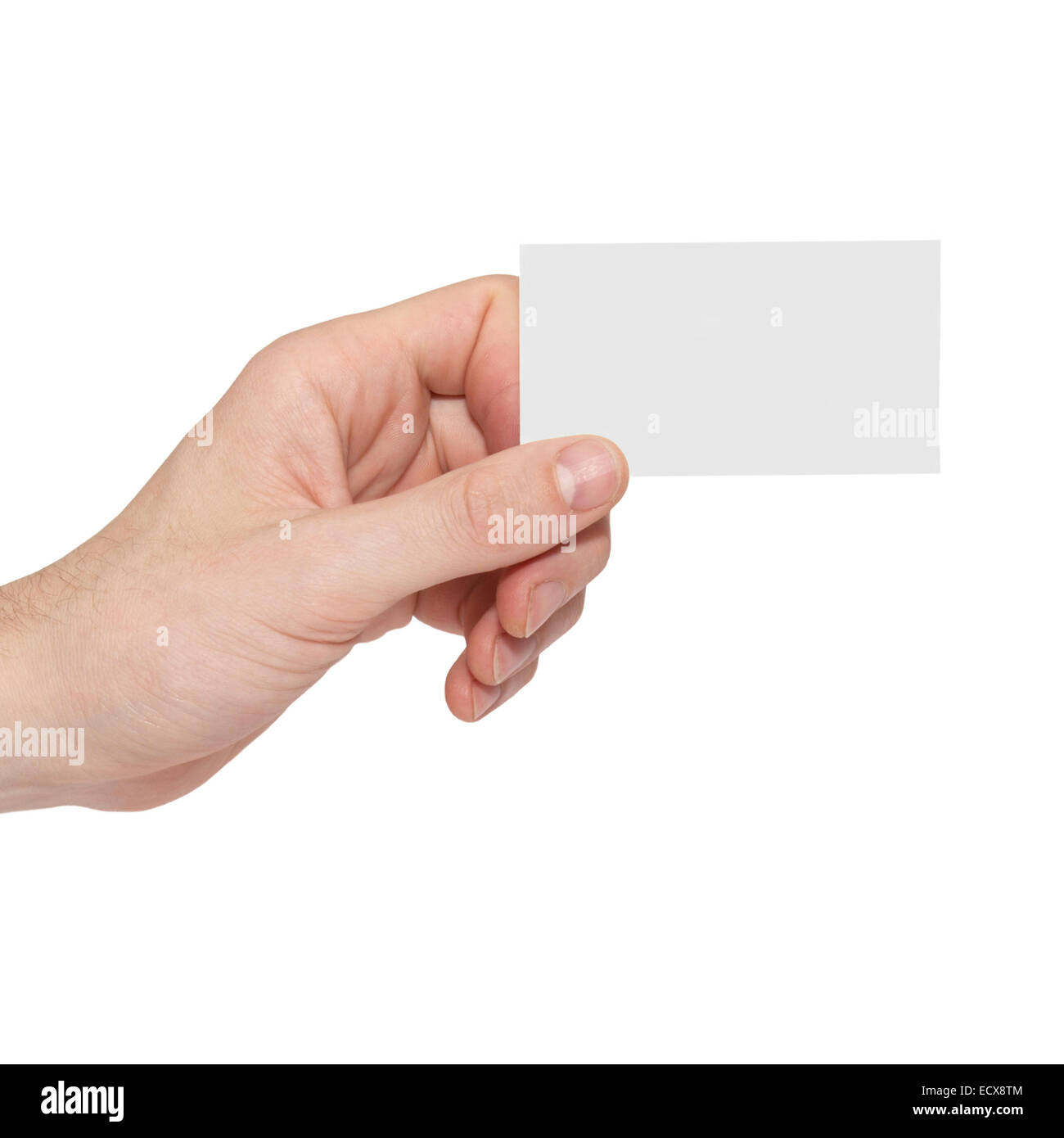 Hand holding gray card Cut Out Stock Images & Pictures - Alamy