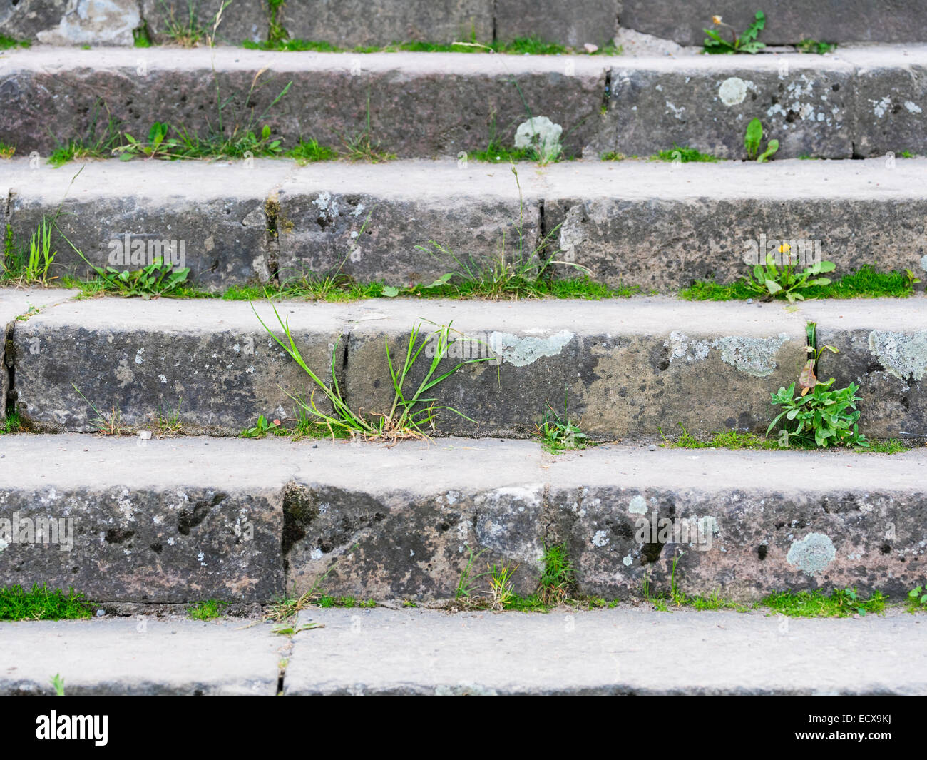 Wallpaper stairs hi-res stock photography and images - Alamy