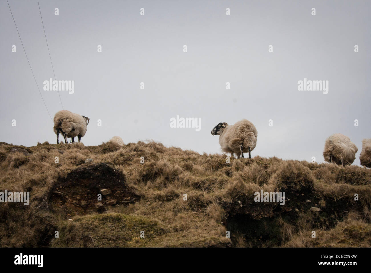Donegal highlands hi-res stock photography and images - Alamy