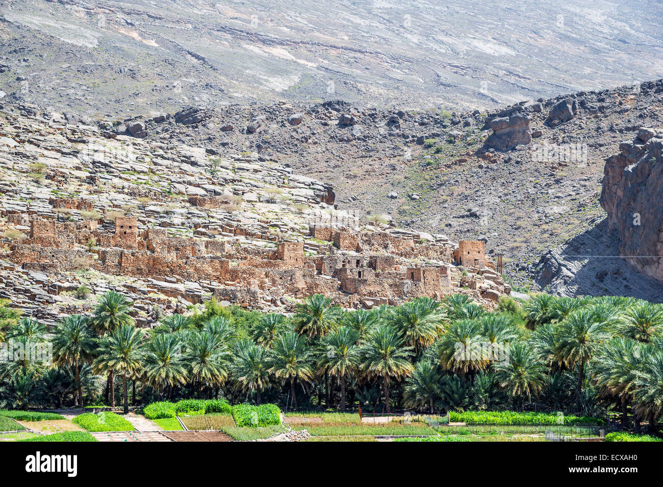 Jebel Akhdar Mountain High Resolution Stock Photography and Images - Alamy
