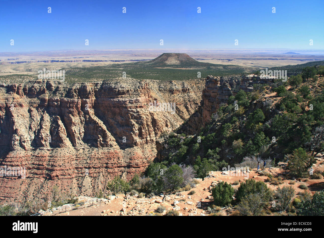 Beautiful Landscape of Grand Canyon from Desert View Point Nevada USA ...