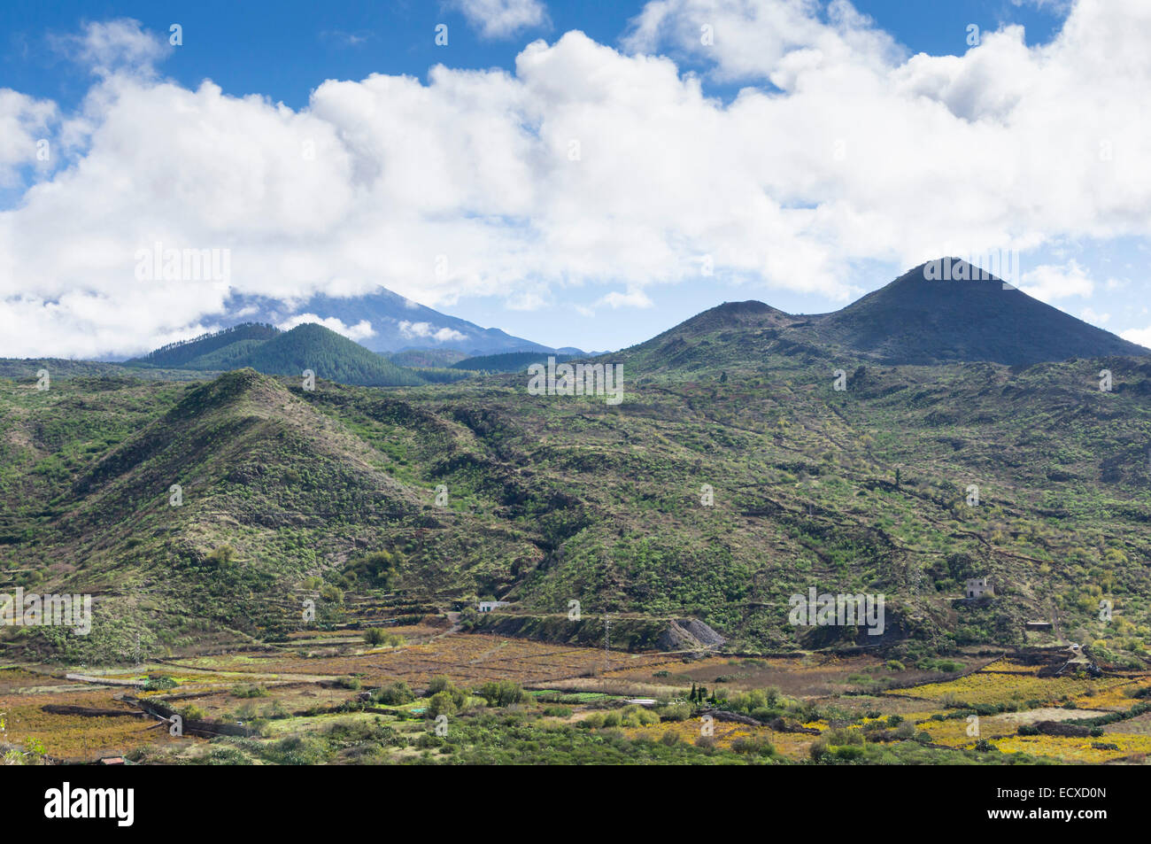 Tenerife Chinyero Volcano High Resolution Stock Photography and Images ...