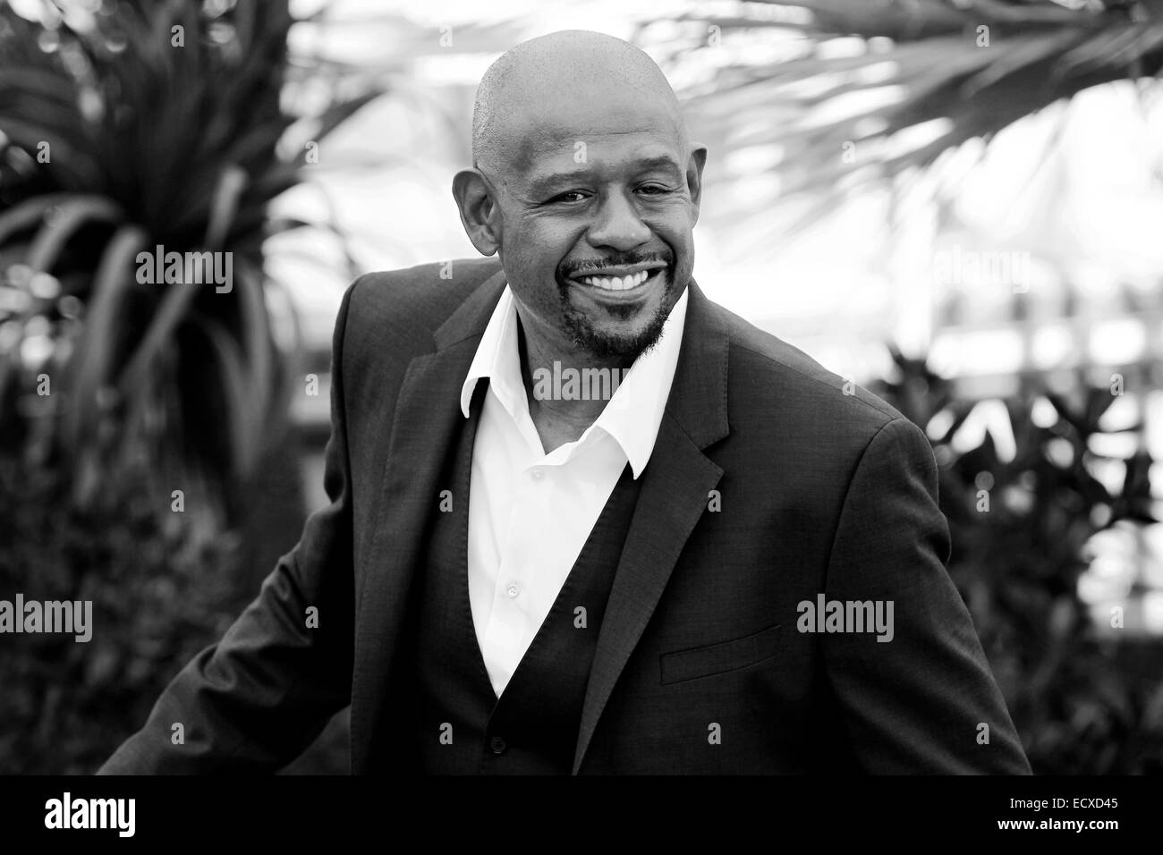 Zulu photo call hi-res stock photography and images - Alamy