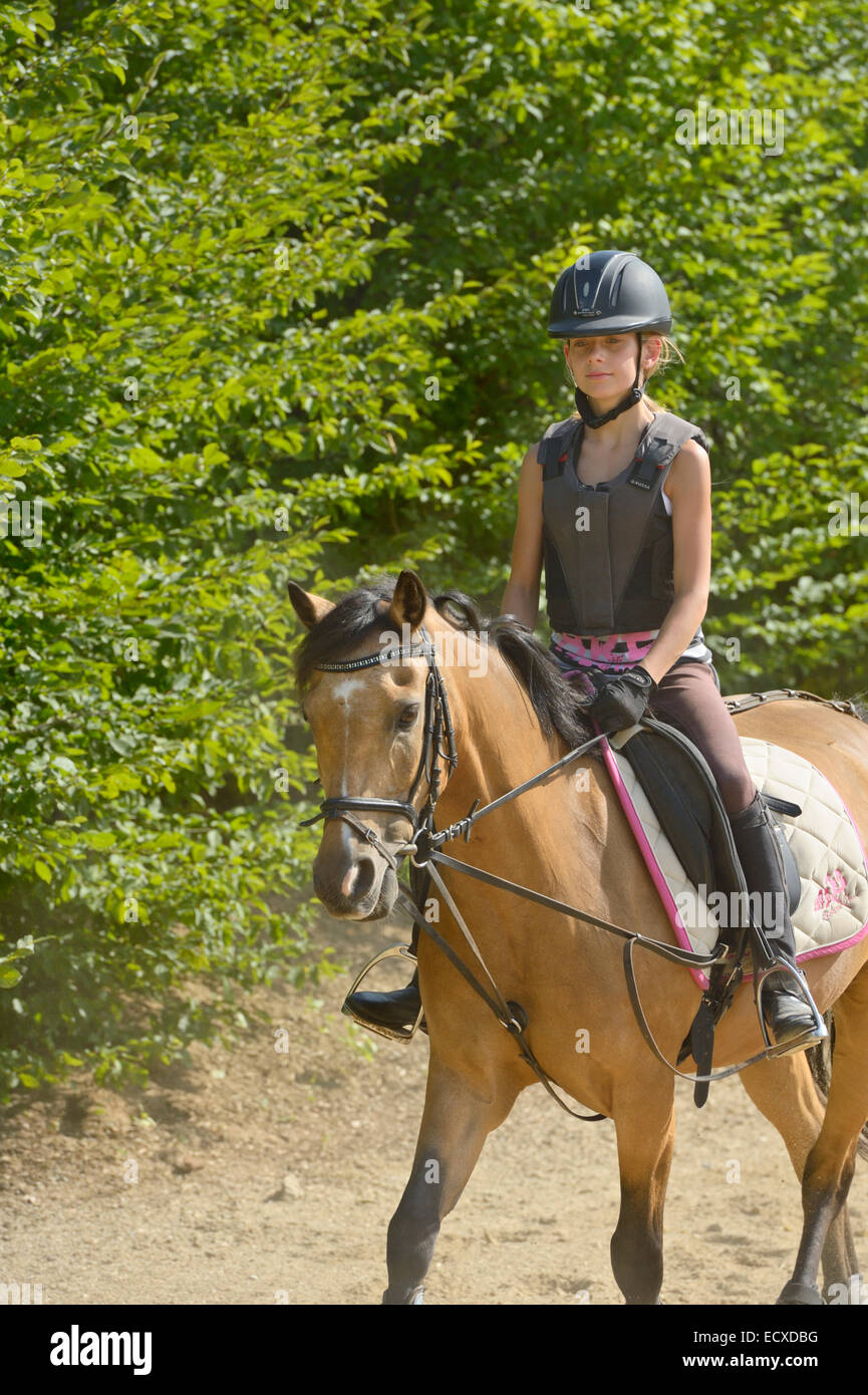 Side Reins High Resolution Stock Photography and Images - Alamy