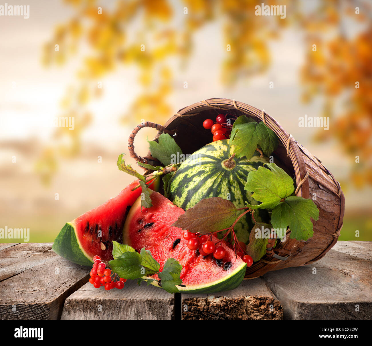 Watermelons in a basket on a nature background Stock Photo - Alamy